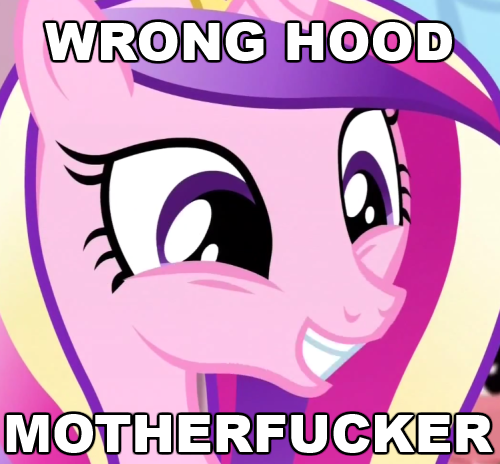 #684258 - safe, princess cadance, caption, grin, meme, smiling, text ...