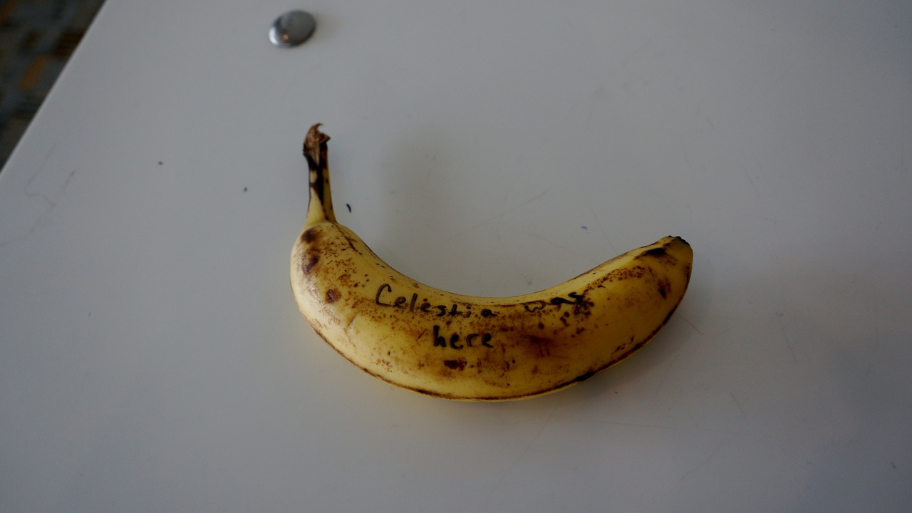 #692375 - safe, princess celestia, bronycon, banana, irl, photo, troll ...