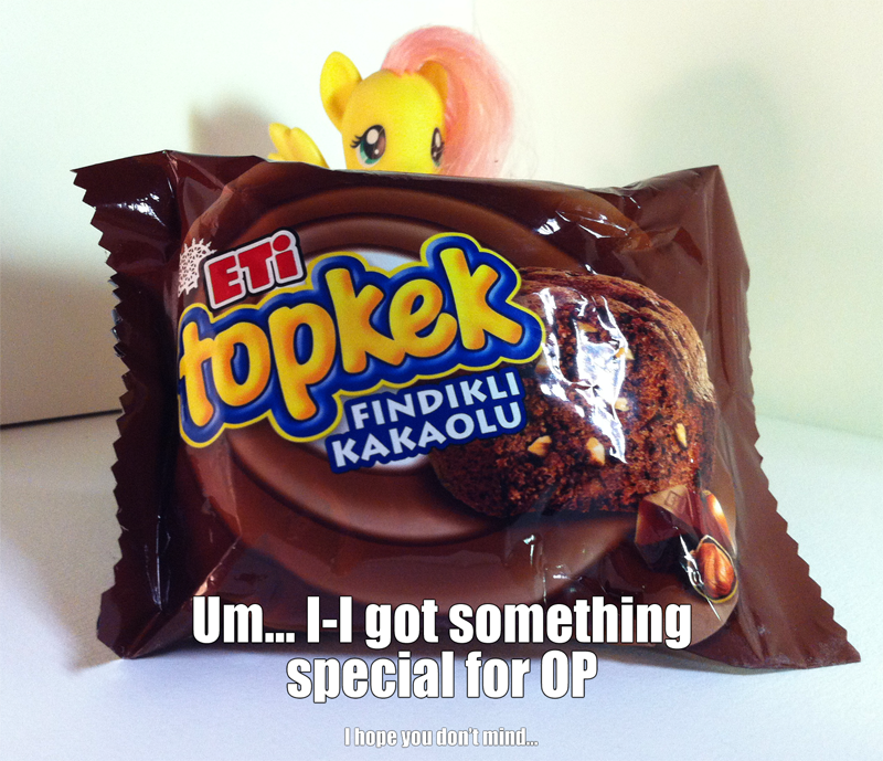 #724067 - safe, fluttershy, g4, caption, image macro, kek, meme ...