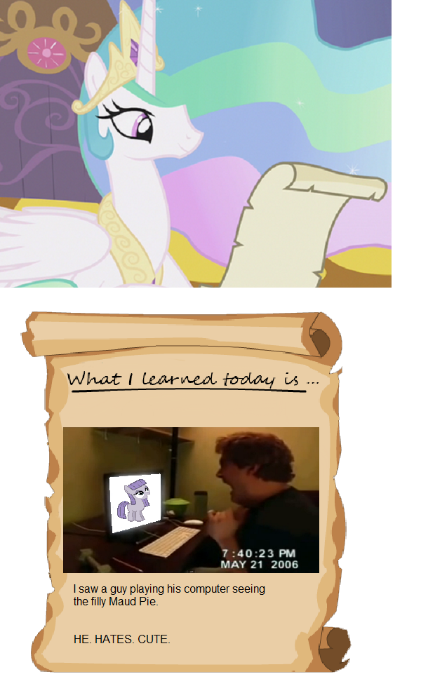 #805530 - safe, human, dear princess celestia, forced meme, irl, irl ...