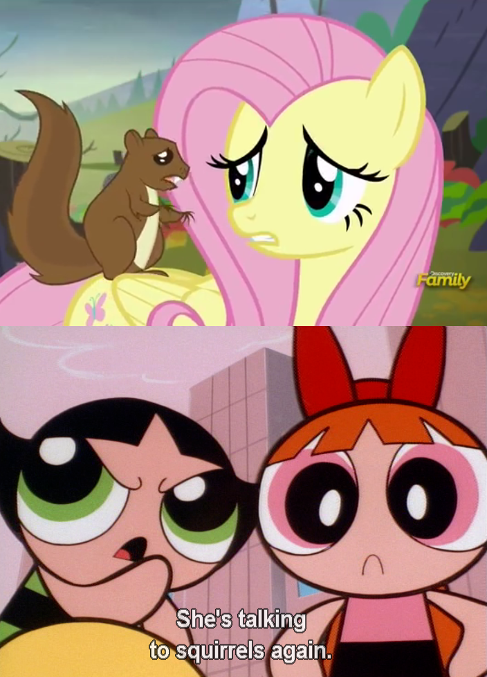 #1023881 - source needed, safe, fluttershy, squirrel, g4, the ...