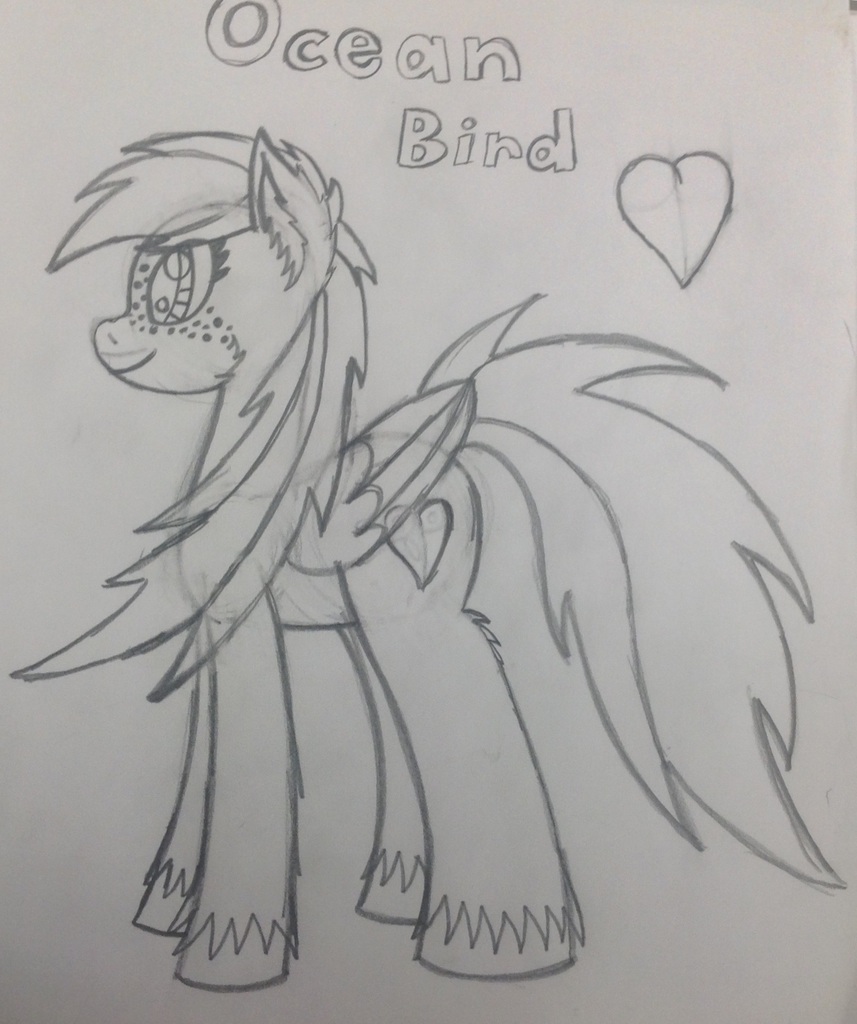 #826887 - safe, artist:drawingsign1234, oc, oc only, oc:ocean bird ...