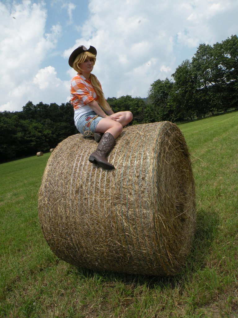 #835625 - safe, artist:madameterralupus, applejack, human, g4, cosplay ...