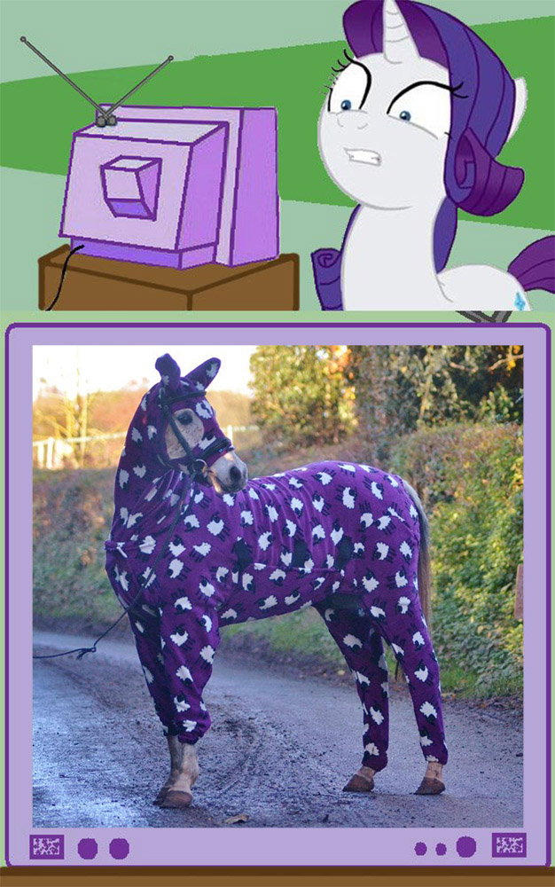 #845043 - safe, rarity, horse, g4, clothes, cute, disturbed rarity ...