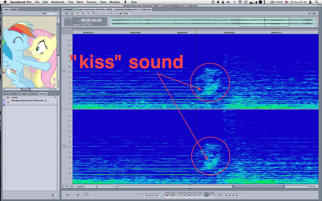 #878820 - safe, fluttershy, rainbow dash, a canterlot wedding, g4 ...