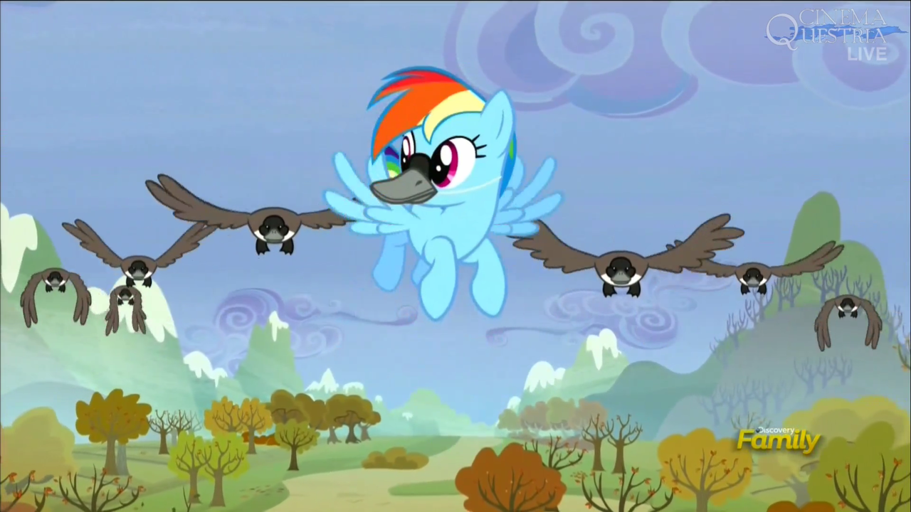 #882317 - safe, screencap, rainbow dash, canada goose, goose, pegasus ...