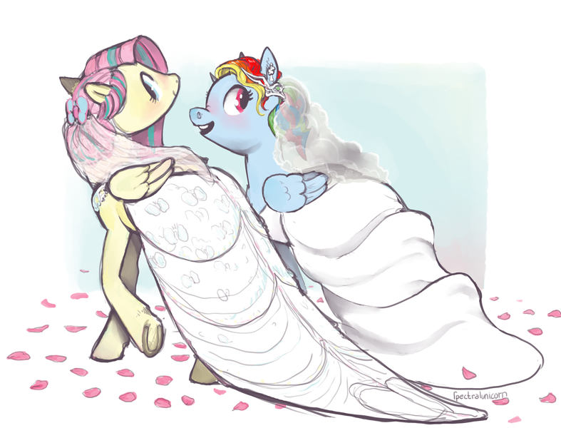 Flutterdash Wedding