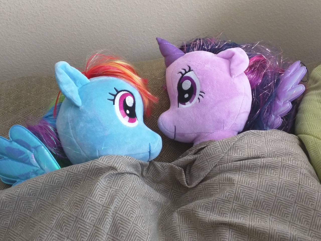#918004 - safe, photographer:corpulentbrony, rainbow dash, twilight ...
