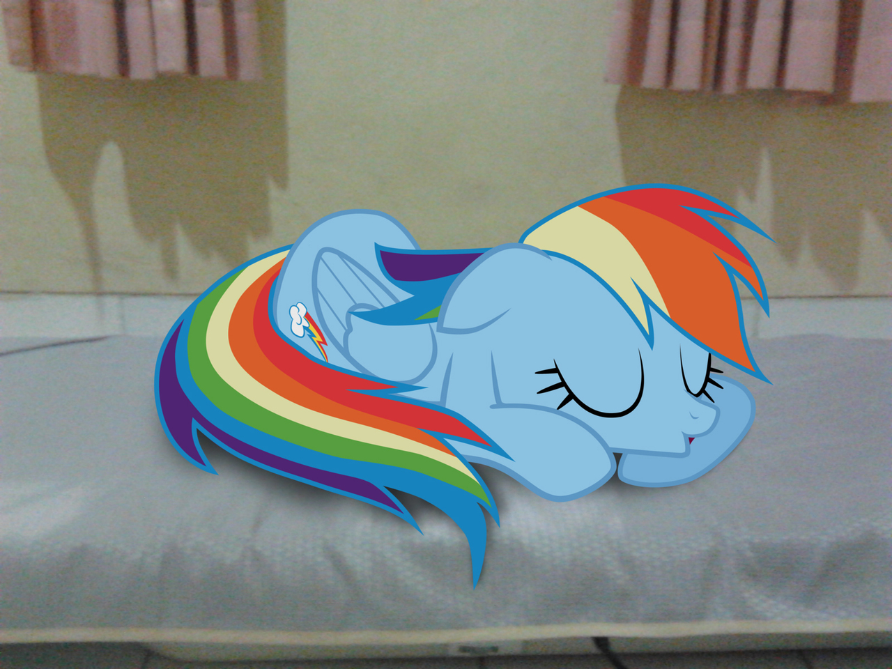 #911372 - safe, artist:nsdrift, rainbow dash, irl, photo, ponies in ...