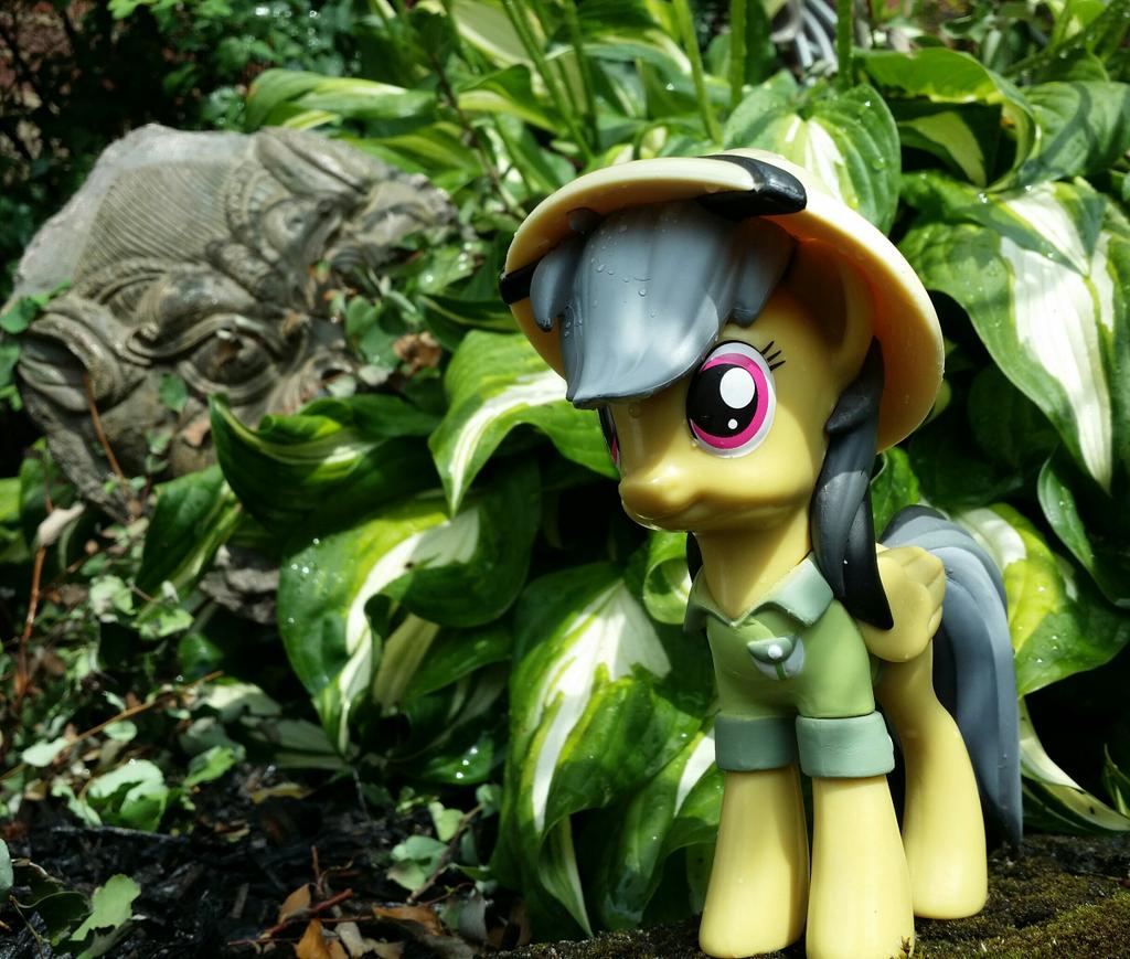 #970753 - safe, daring do, funko, irl, photo, solo, toy - Derpibooru