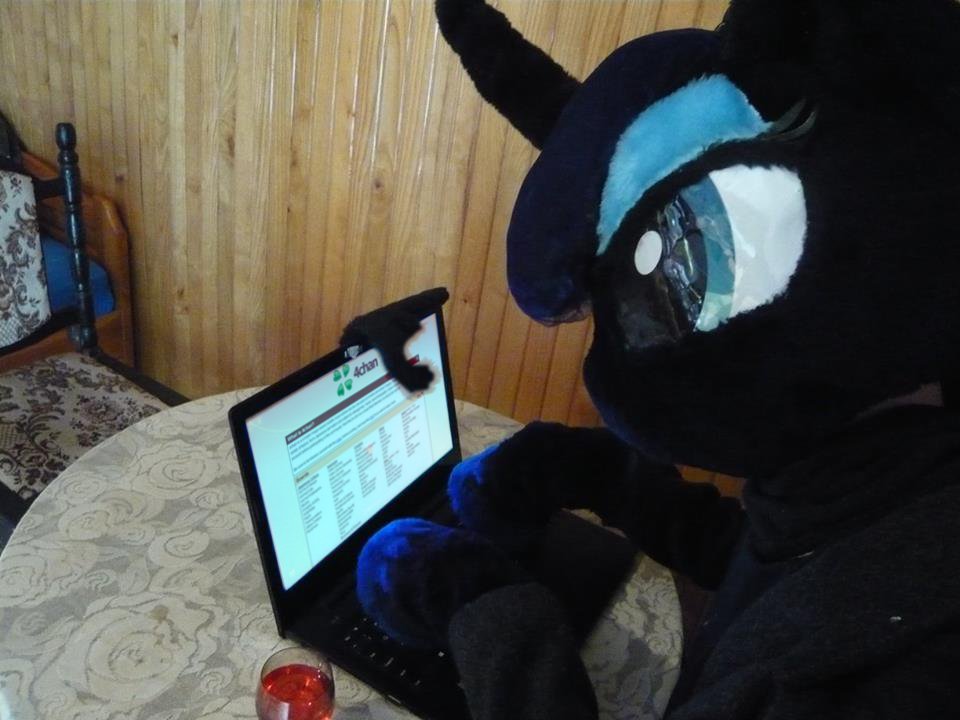 #976621 - safe, princess luna, human, fursuit, irl, irl human, photo ...