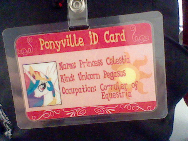 #1282175 - safe, princess celestia, alicorn, pony, g4, female, id card ...