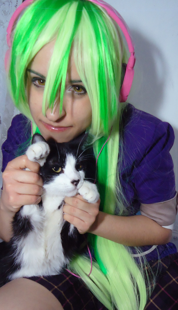 #1282186 - safe, artist:ribbonbell, lemon zest, cat, human, g4, bicolor ...