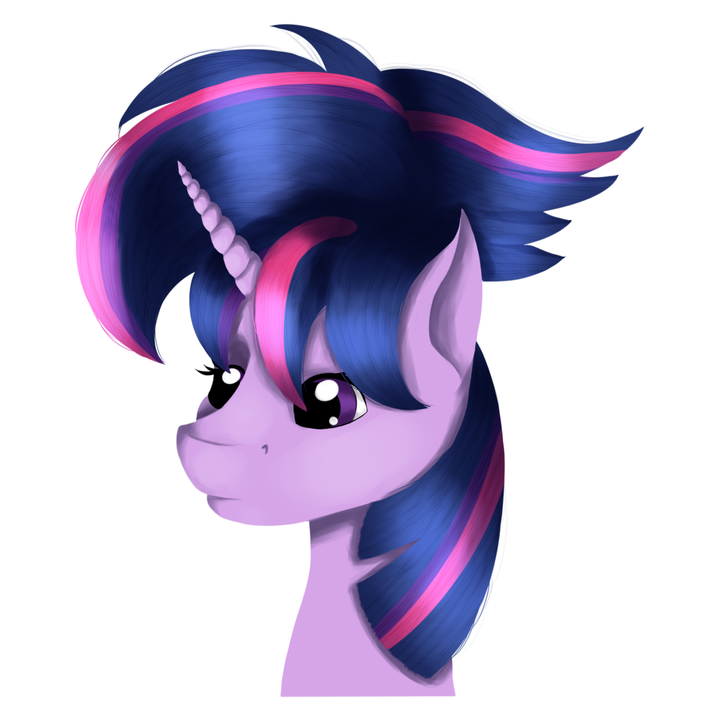 #1297197 - safe, artist:heniek, twilight sparkle, alicorn, pony ...