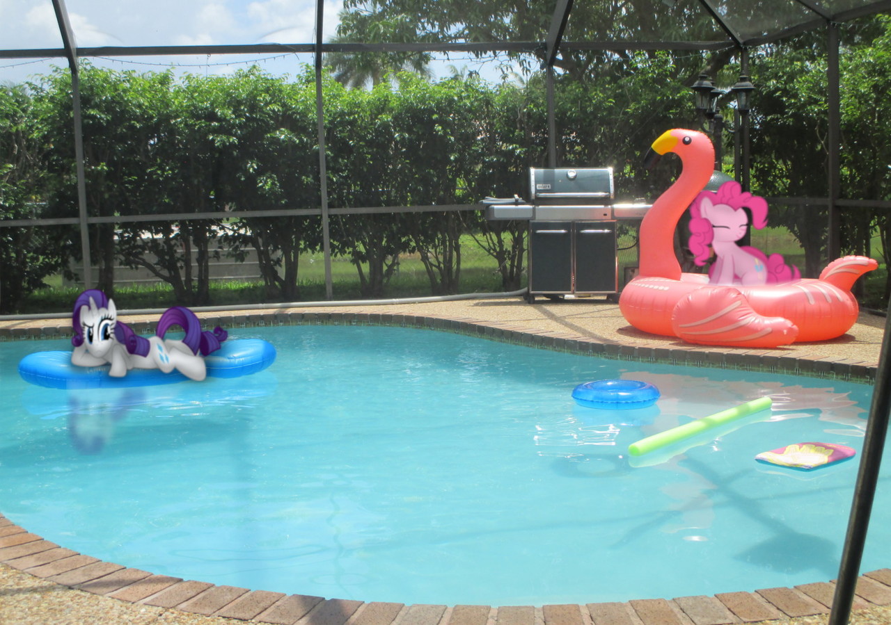 #1289340 - safe, artist:riniginianna, pinkie pie, rarity, flamingo, g4 ...