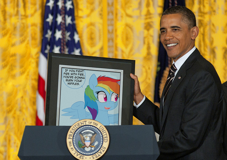 #1316541 - suggestive, artist:higglytownhero, rainbow dash, g4, barack ...