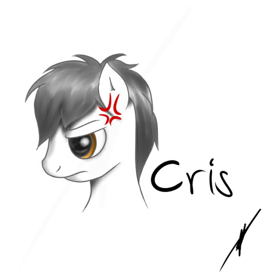 #1099045 - safe, oc, oc only, oc:cris, angry, portrait - Derpibooru