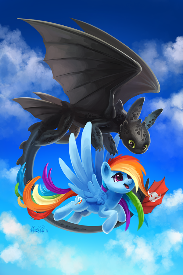 #1080409 - safe, artist:tsaoshin, rainbow dash, dragon, night fury ...