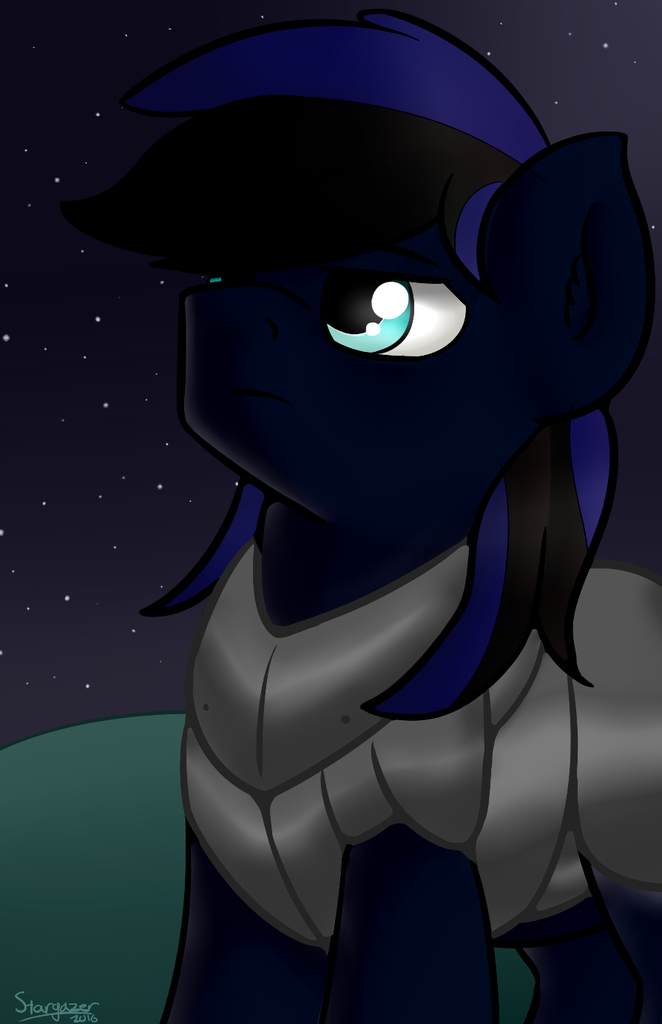 #1104526 - safe, artist:stargazer, oc, oc only, oc:night shadow, earth ...