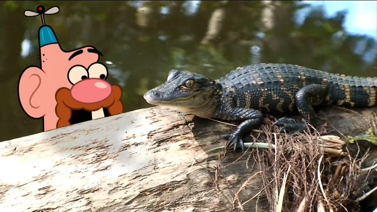 #1146885 - safe, edit, edited screencap, screencap, gummy, alligator ...