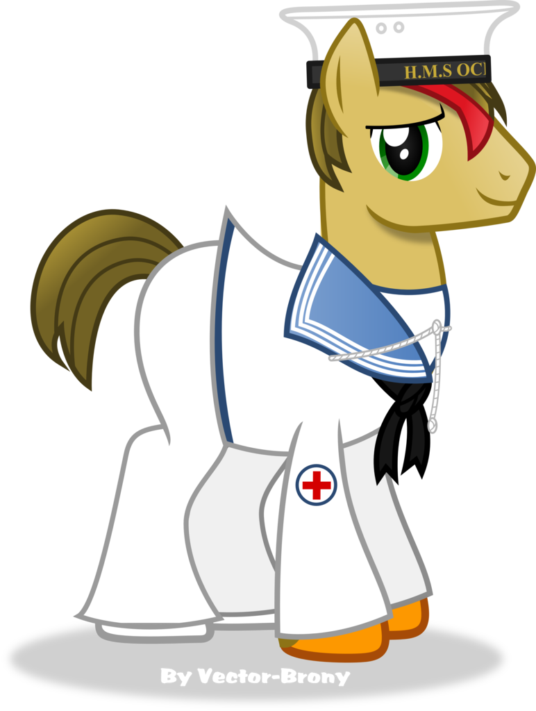 #1343046 - safe, artist:vector-brony, oc, oc only, pony, clothes, high ...