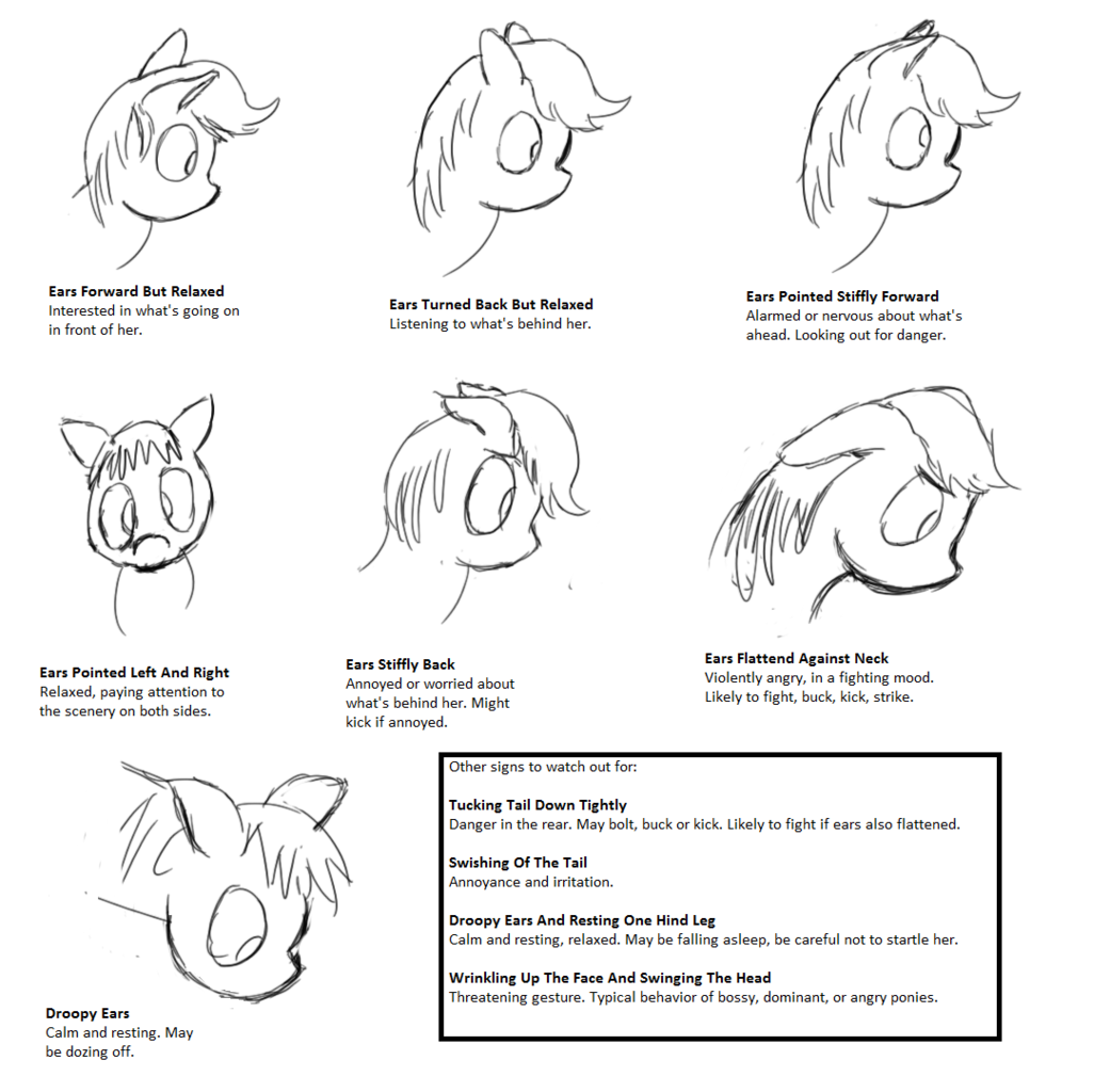 #1349409 - artist needed, safe, pony, body language, horses doing horse ...