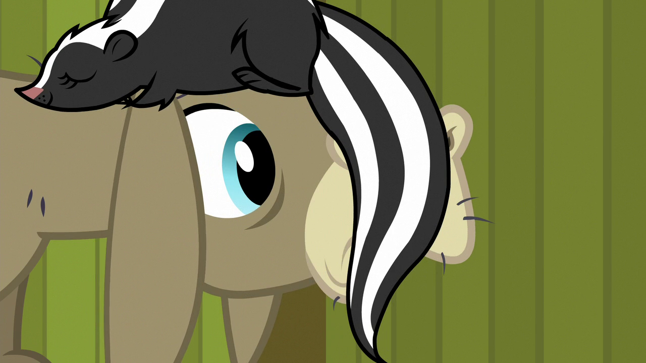 #1334346 - safe, screencap, cranky doodle donkey, donkey, pony, skunk ...
