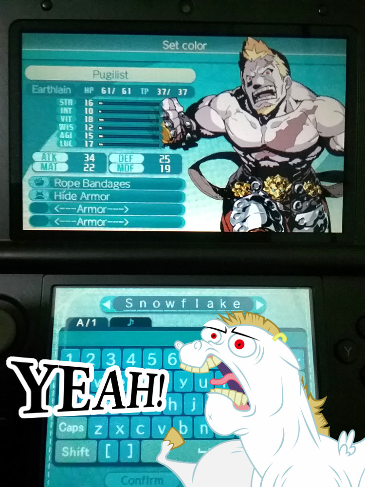 #1566410 - safe, bulk biceps, g4, 3ds, etrian odyssey, irl, photo, yeah ...