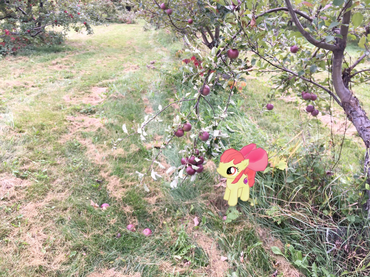 #1570293 - safe, gameloft, apple bloom, earth pony, pony, g4, apple ...
