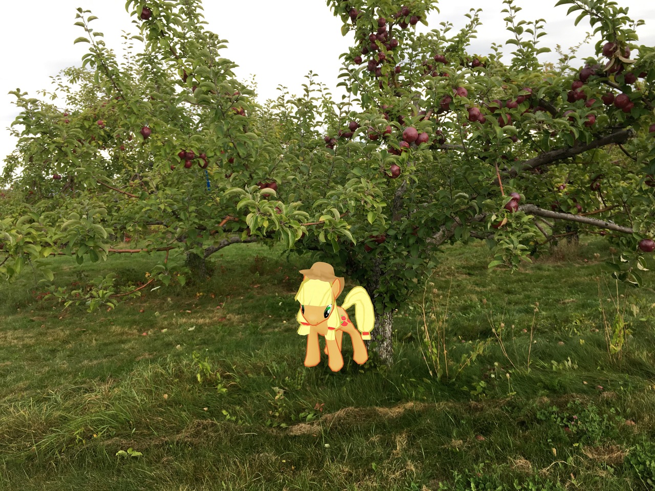 #1570296 - safe, gameloft, applejack, earth pony, pony, apple orchard ...