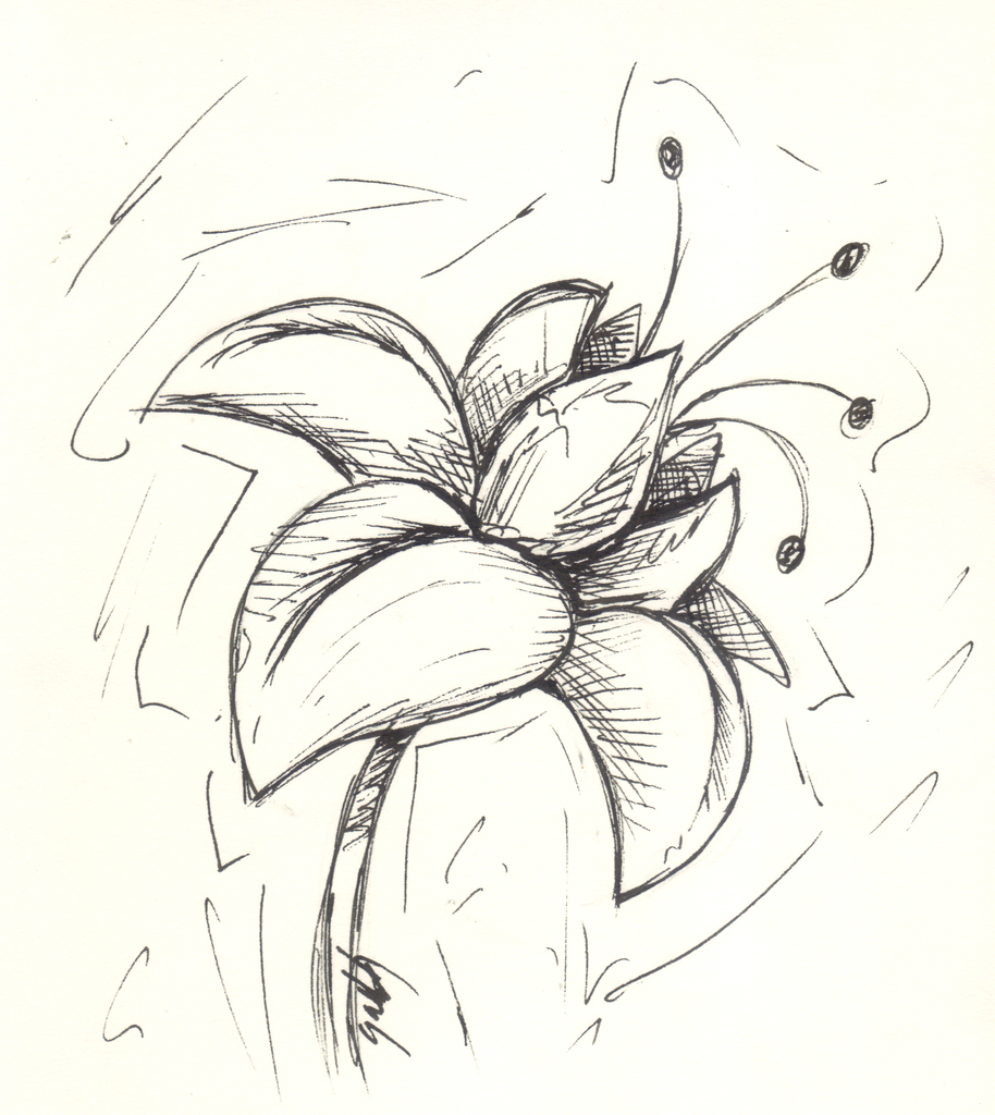 #1551214 - safe, artist:gaelledragons, flower, monochrome, no pony ...