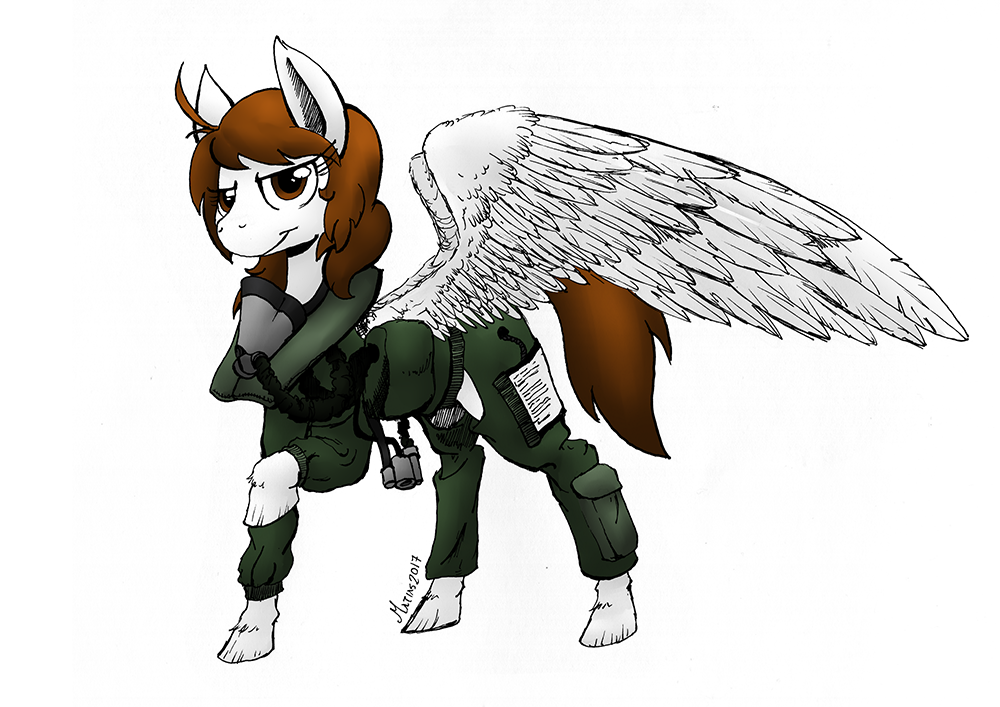 #1574109 - safe, artist:darkhestur, oc, oc only, oc:aerial aim, pegasus, pony, airforce, clothes ...