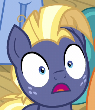 #1555846 - safe, screencap, star tracker, earth pony, pony, g4, once ...
