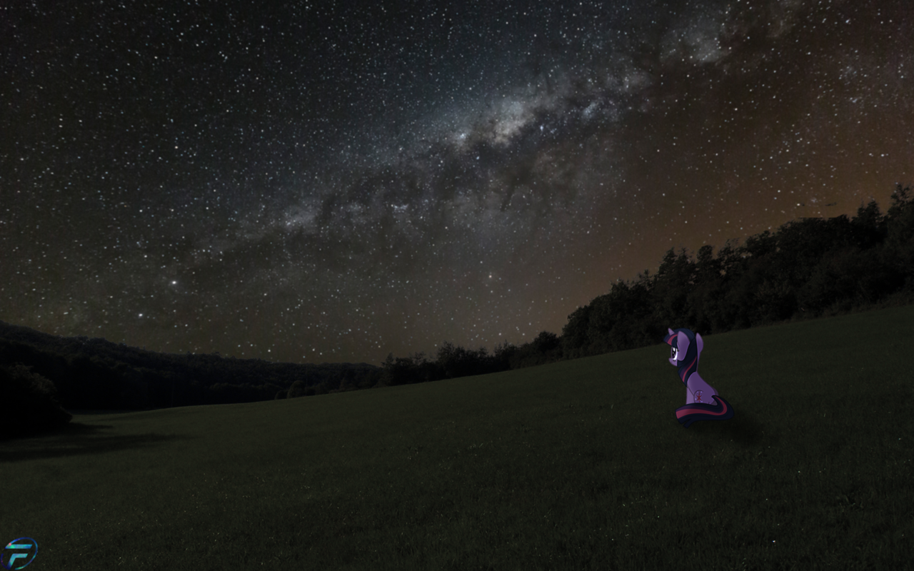 #1597158 - safe, artist:lukijimomk, twilight sparkle, g4, irl, night ...