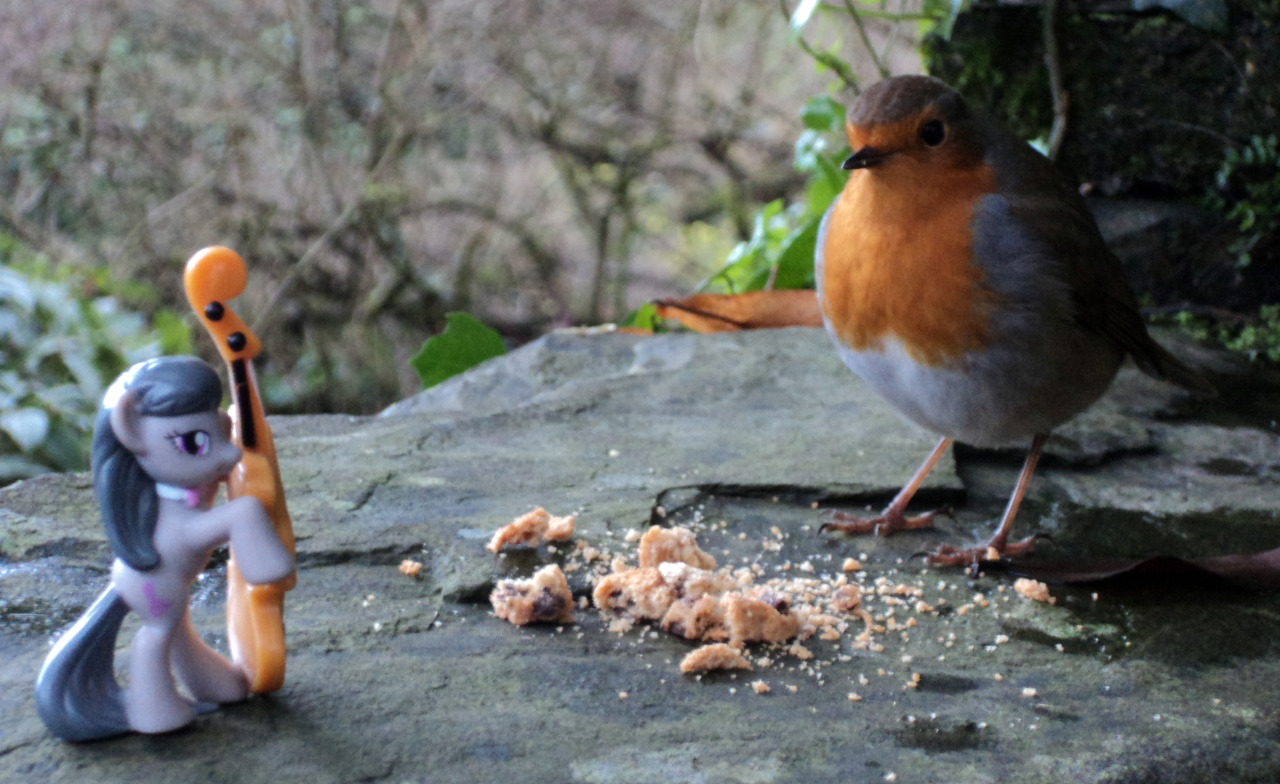 #1406259 - safe, artist:travelling-my-little-pony, octavia melody, bird ...