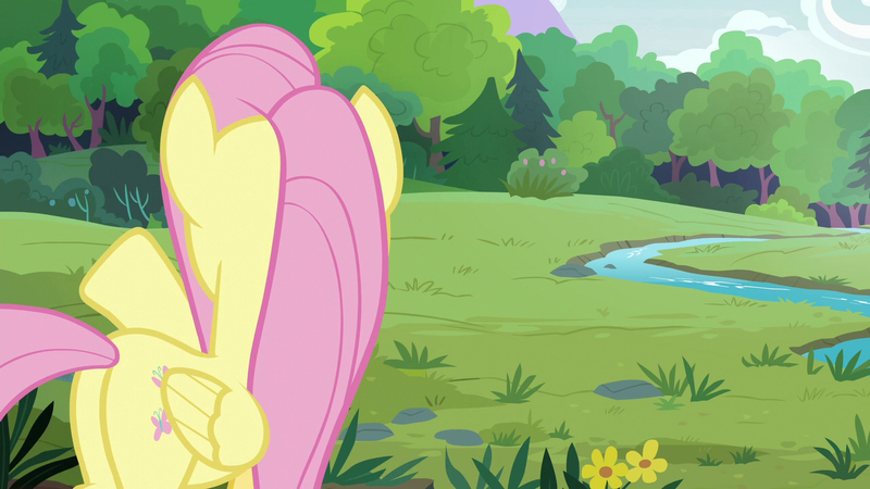 Fluttershy Plot