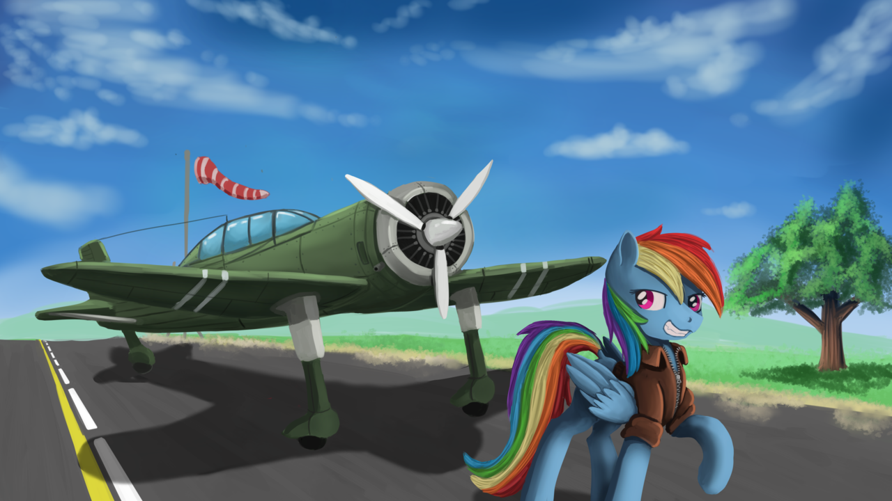 #1454772 - safe, artist:ailynd, rainbow dash, pegasus, pony, bomber ...