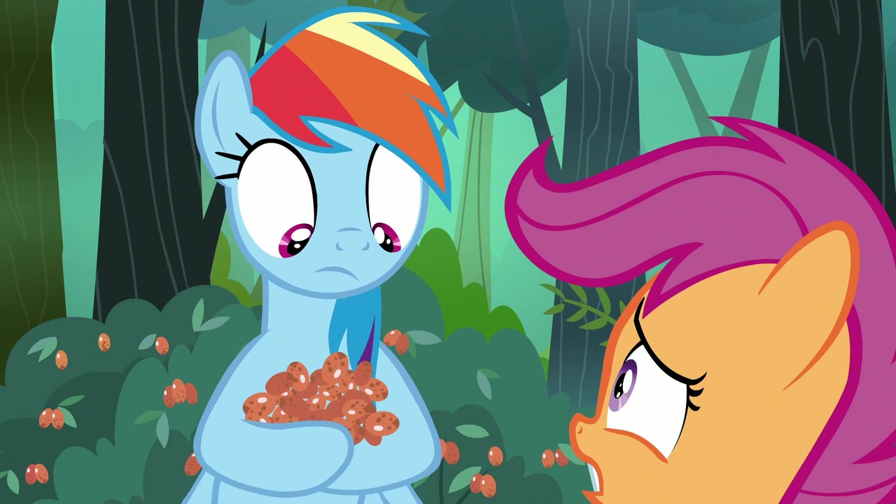 #1523632 - safe, screencap, rainbow dash, scootaloo, pony, campfire ...