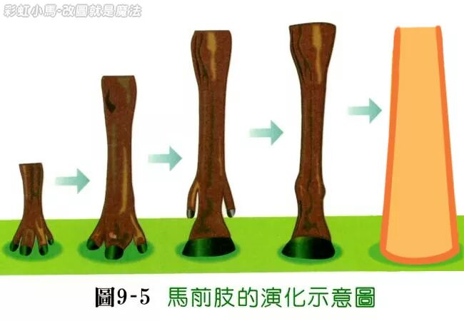 #1502429 - safe, artist:小凱, edit, applejack, horse, pony, g4, chinese ...