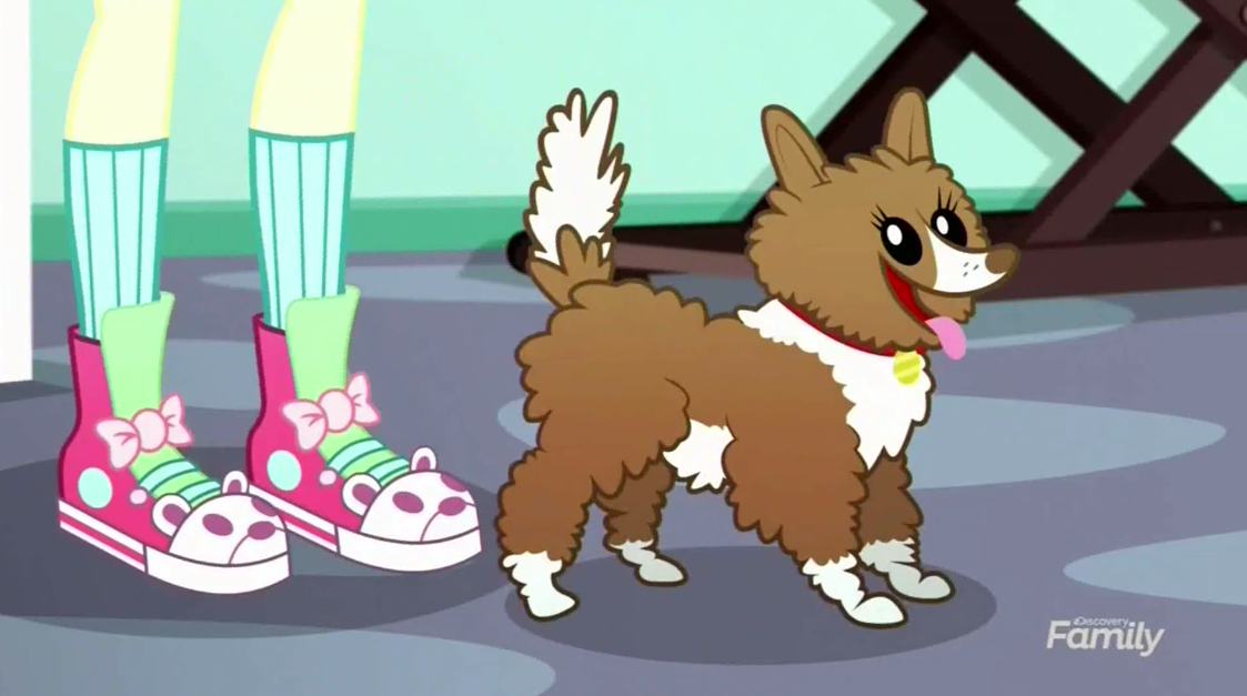 #1503875 - safe, screencap, fluttershy, winona, dog, equestria girls ...