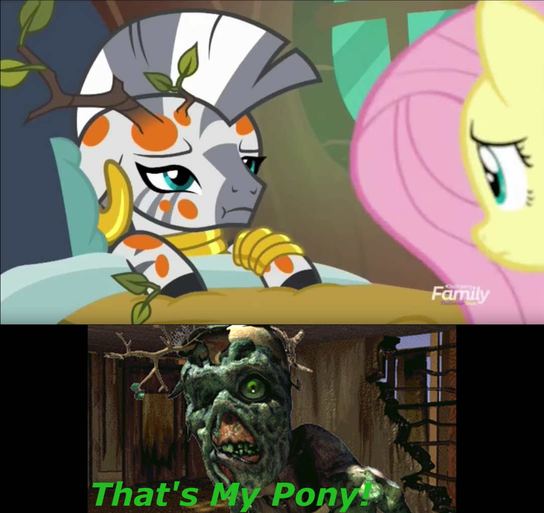 #1542964 - safe, fluttershy, zecora, ghoul, pegasus, pony, zebra, a ...