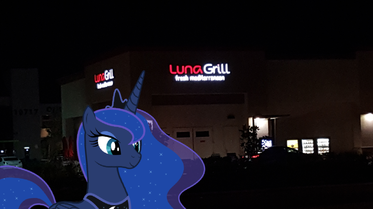 #1865507 - safe, princess luna, g4, building, irl, night, photo ...