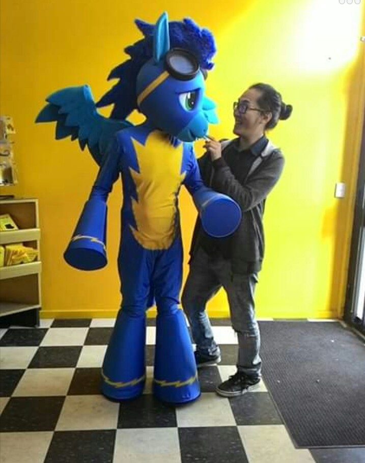 #1913711 - safe, soarin', human, fursuit, irl, irl human, photo ...