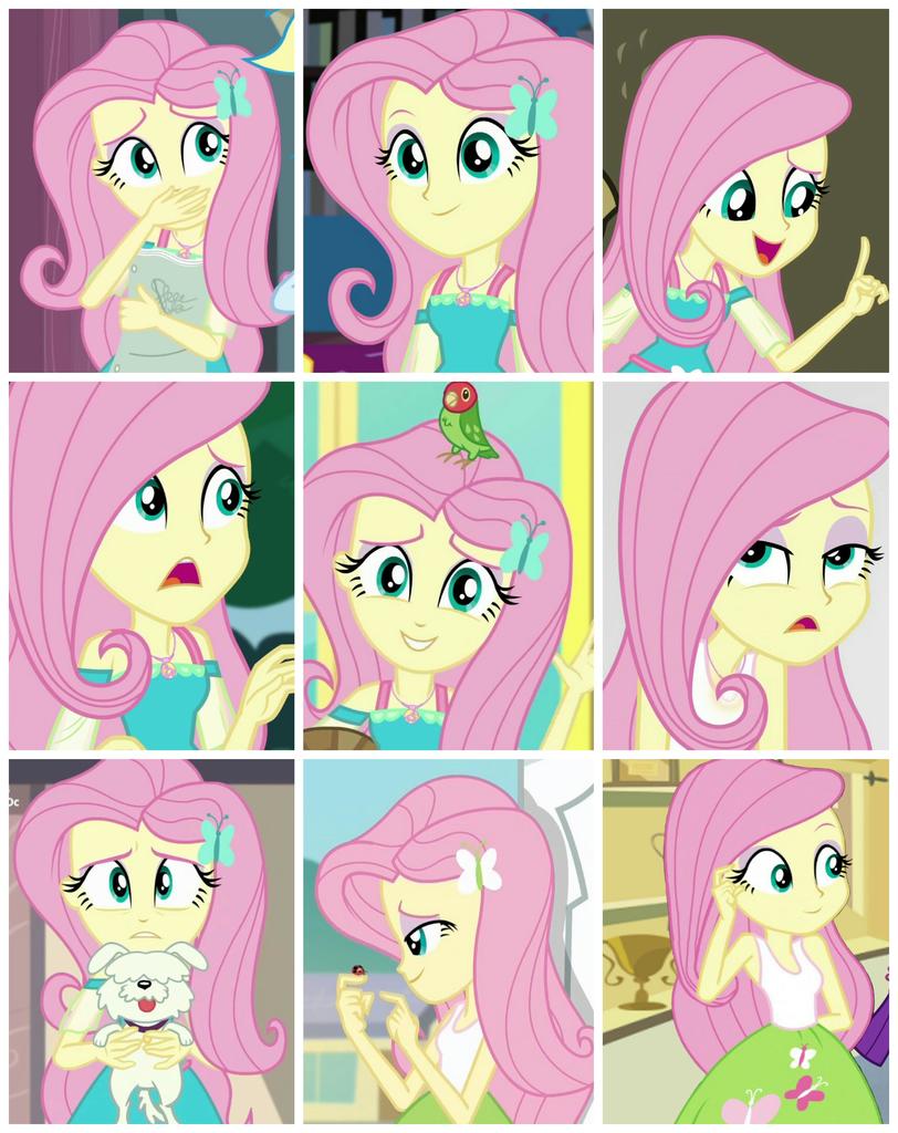 #1896750 - safe, edit, screencap, fluttershy, dog, ladybug, equestria ...