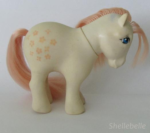 #1667015 - safe, photographer:shellebelle, blossom, g1, columbia, irl ...