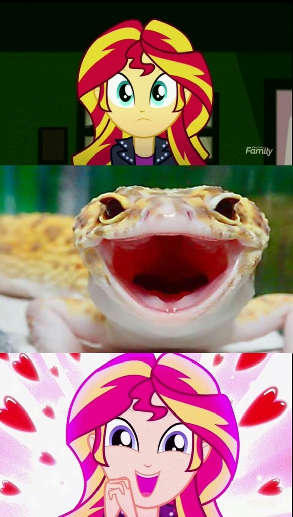#1674190 - safe, edit, screencap, ray, sunset shimmer, leopard gecko ...