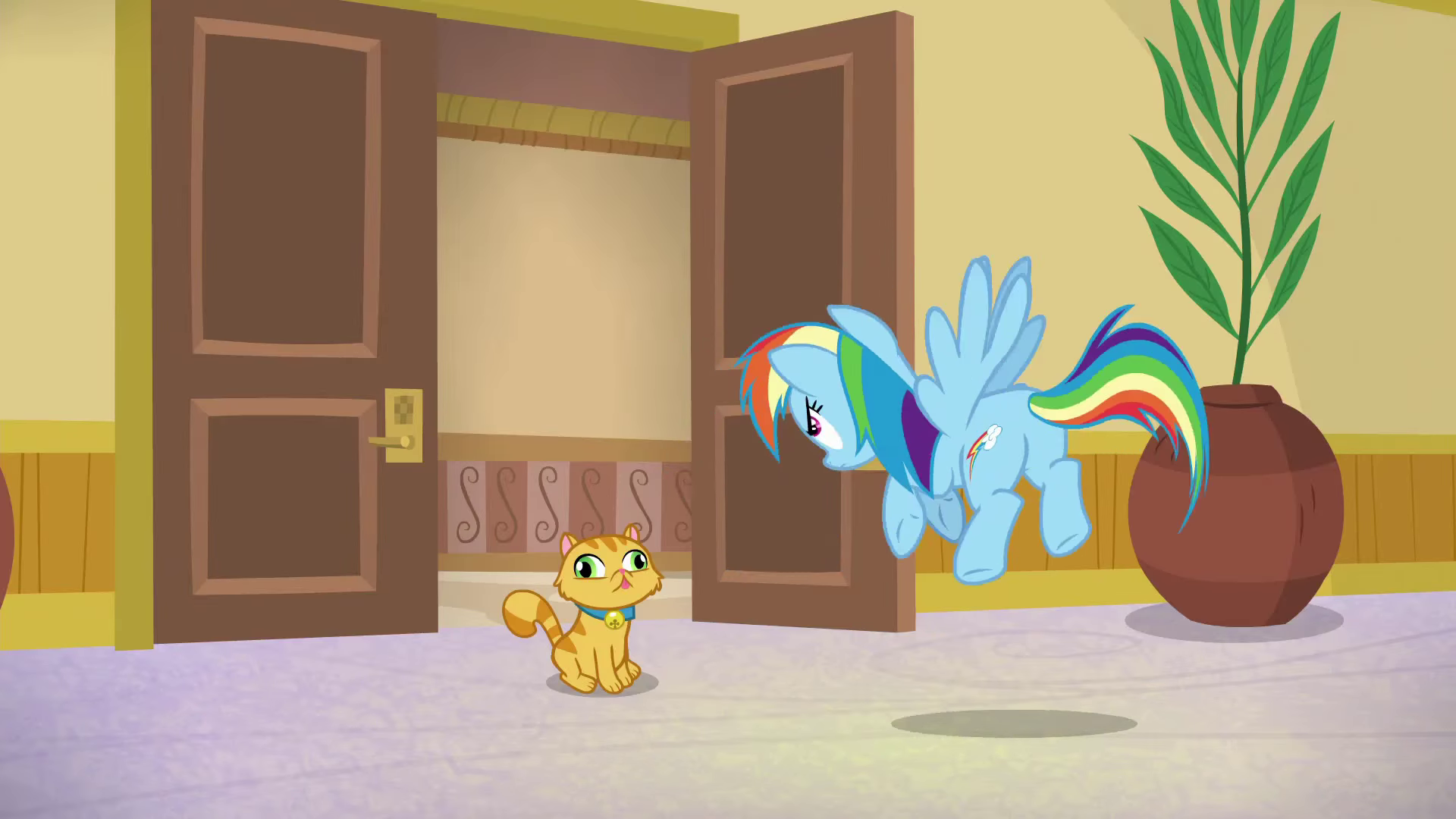 #1708450 - safe, screencap, rainbow dash, cat, pegasus, pony, grannies ...