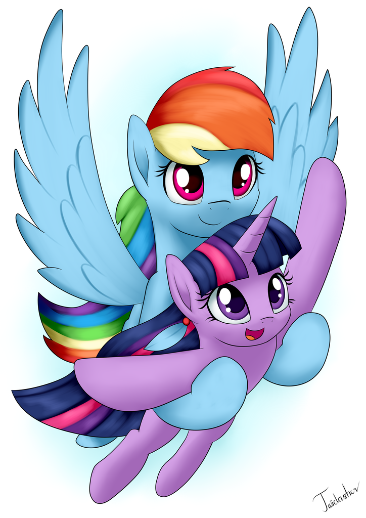 #1697135 - safe, artist:twidasher, rainbow dash, twilight sparkle ...