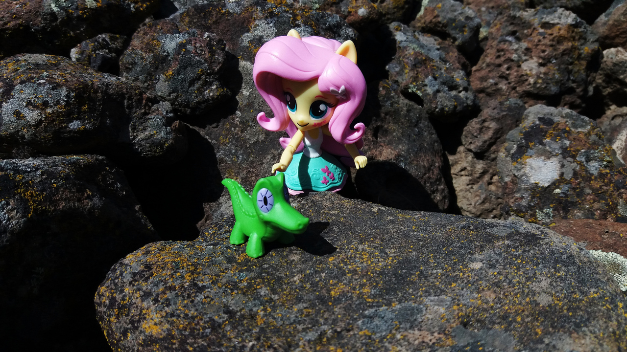 #1720619 - safe, fluttershy, gummy, equestria girls, clothes, doll ...