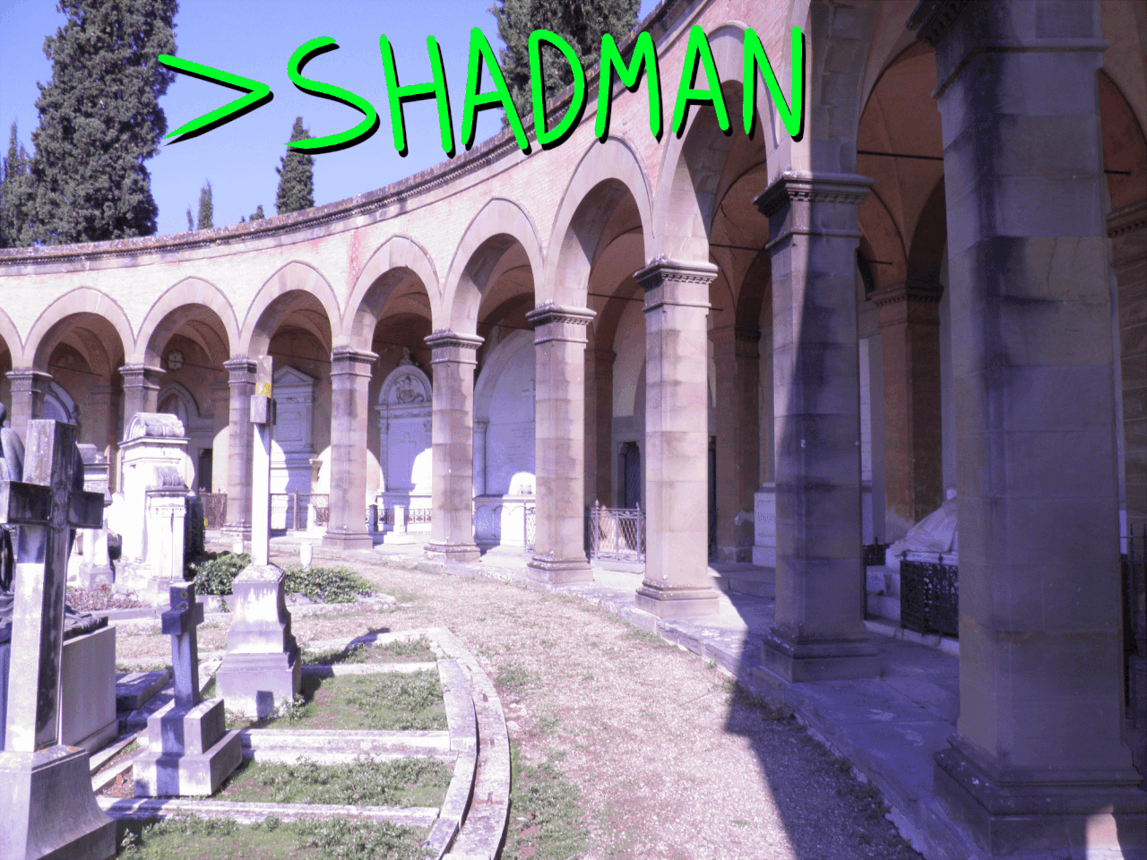 #1702033 - safe, artist:anontheanon, fluttershy, pegasus, pony, g4 ...